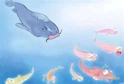 鲶鱼效应 知乎