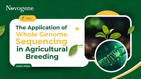 The Application Of Whole Genome Sequencing Wgs In Agricultural Breeding