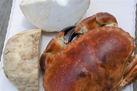 Miettes De Crabe Et Céleri Rémoulade Cuisine à Louest