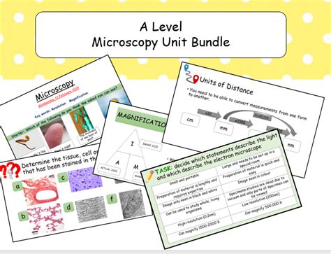 Core Practical Magnification Calculation Units Of Distance Conversion Edexcel Flashcards