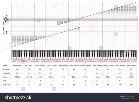 Musical Keyboard By Octaves Melodystave Notation Stock Vector Shutterstock