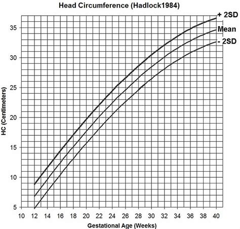 Gestational Age Chart How To Calculate Gestational Age And Corrected Age