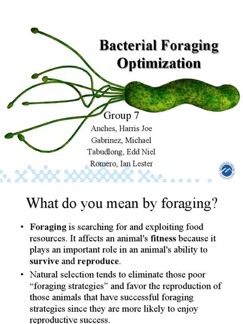 Bacterial Foraging Optimization Chemotaxis Bacteria Free 30 Day