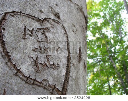 Initials Tree Image Photo Free Trial Bigstock