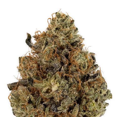 Nighttime Nirvana Purple Kush Herbal Dispatch Wholesale