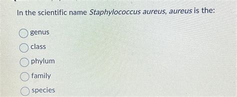 Solved In The Scientific Name Staphylococcus Aureus Aureus