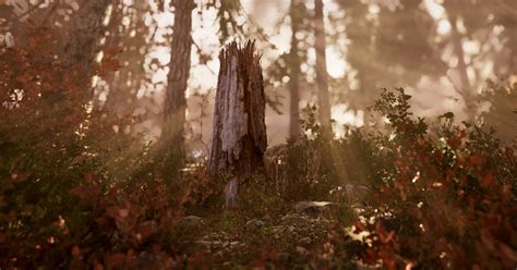 Interra ~ Shaders For Terrain And Its Objects Vfx Shaders Unity Asset