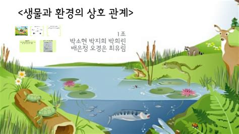 생명 생물과 환경의 상호관계 By 희린 박 On Prezi