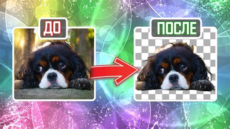 Как быстро УДАЛИТЬ ФОН на Фото или Картинке на Компьютере Удаление