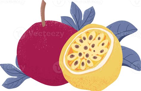 Passion Fruit Elements 46434830 Png