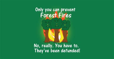 Only You Can Prevent Forest Fires Forest Fires Sticker TeePublic