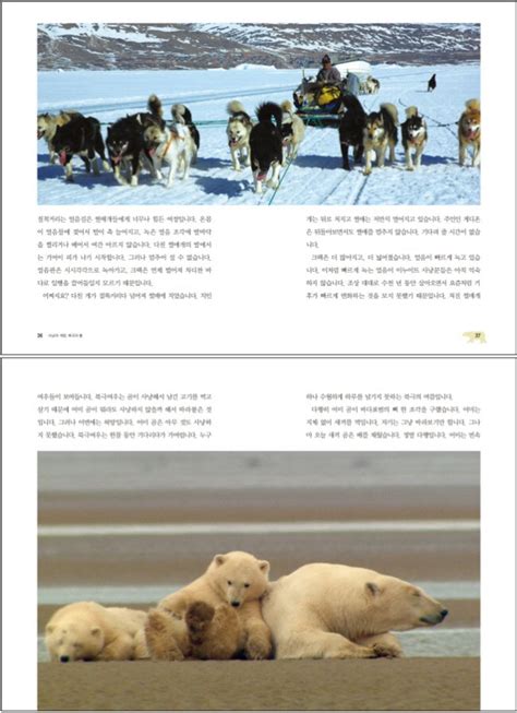 북극의 눈물 Mbc 북극의눈물 제작팀 교보문고