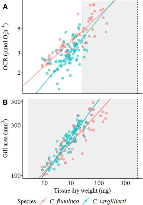 Regression Plots Of Clam Oxygen Consumption Rates Ocr A And Gill Download Scientific