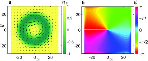 Coreless Vortex In The Uniform Spiral State This Topological Defect Download Scientific