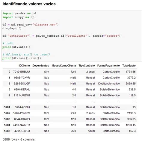 Tratar Valores Vazios No Python Em Uma Base De Dados