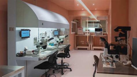 细胞质内单精子注射（icsi）：详细指南