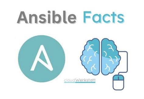 Ansible Simplifying Automation With Facts Cloudwerkstatt Deine It