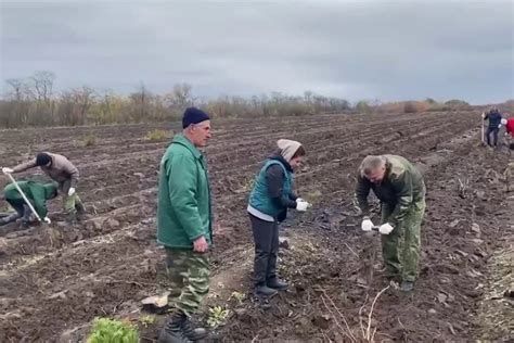Право собственности на недвижимость в ДНР в 2025 году что изменилось в земельном