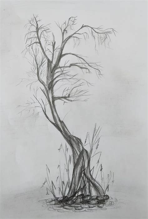 Fine Art Tree Pencil Drawing Handmade Original Sketch Realistic Nature Scene Perfect For Wall