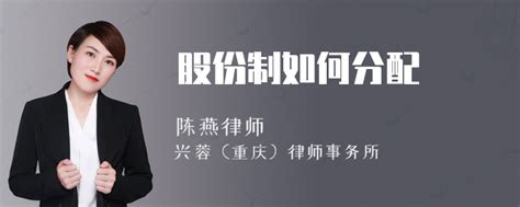 股份制如何分配 律师普法 法师兄