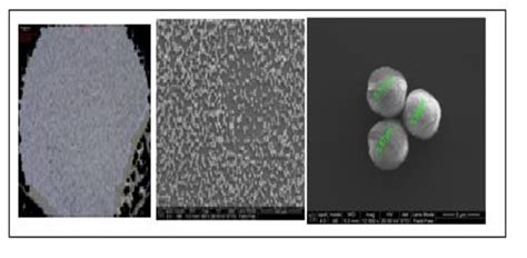 Microcapsules Fabricated By Lbl Technique Under Sem Microscopy