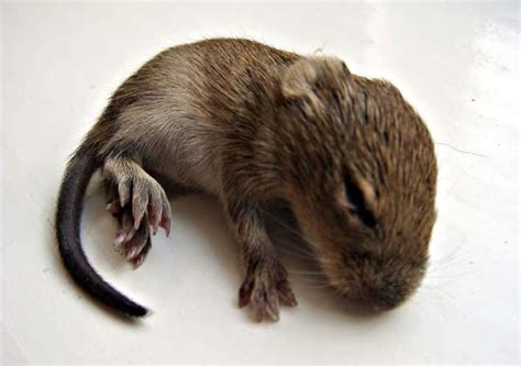 2018 Scientific Breakthroughs And Science News