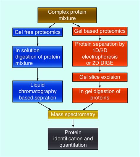 Schematic Diagram For The Identification And Characterization Of Download Scientific Diagram