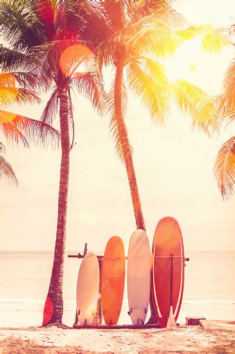 다채로운 보케 태양 빛 질감 추상적 인 배경 해변 이중 노출에 서핑 보드와 야자수 여름 휴가와 스포츠 익스트림 개념 빈티지 톤 필터 색상 스타일입니다 관광에 대한 스톡 사진