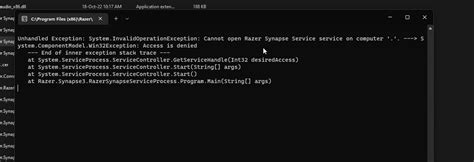 What Does This Mean Synapse Doesnt Launch And This Shows Up For 1 Sec