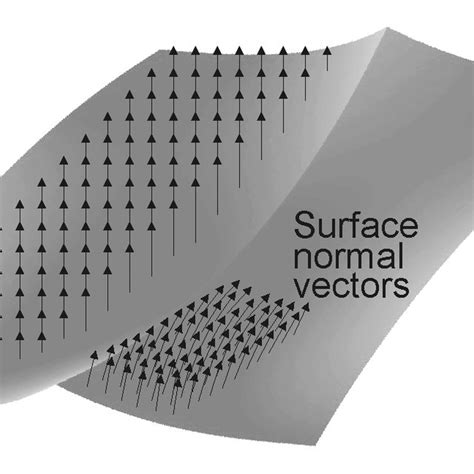 Z Map And Surface Normal Vectors Download Scientific Diagram