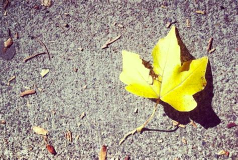 Huawei и Zte запретили в Канаде Telecom Times Телеком Таймс