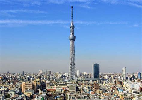 도쿄 힐링 여행 도쿄 버스 일일 투어로 편하게 여행을 즐기자