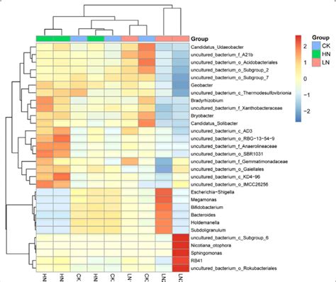 Heatmap And Hierarchical Clustering Of The Relative Abundances Of The Download Scientific