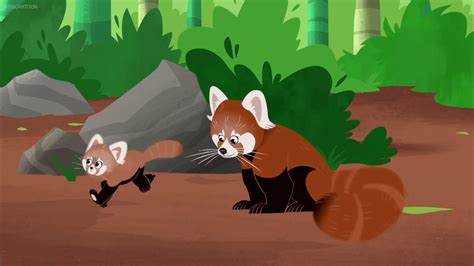 Wild Kratts Red Panda By Mdwyer5 On Deviantart