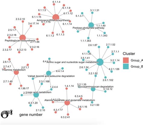 84 Empenrichnetplot · Bingdong Liu
