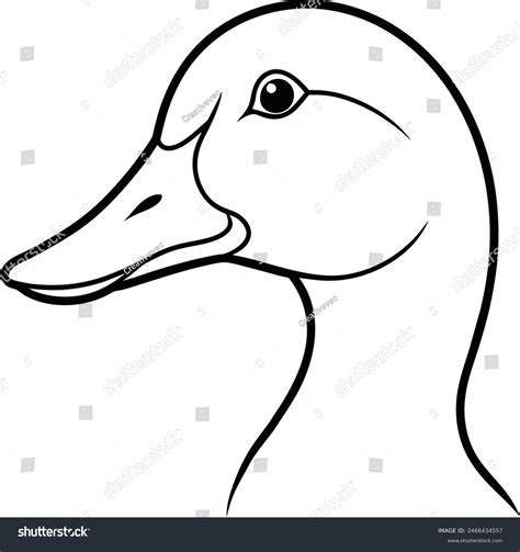 Duck Head Clip Art