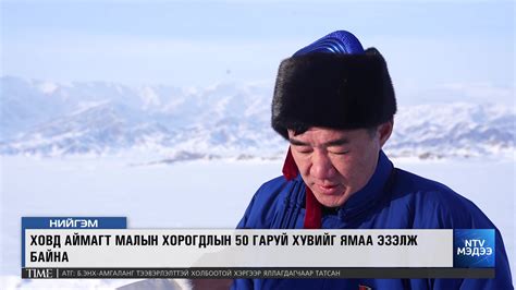 Өнөөдрийн байдлаар 21 аймгийн 70 хувьд нь өвөлжилт хүндрээд байна Тухайлбал Ховд аймагт ихэнхи