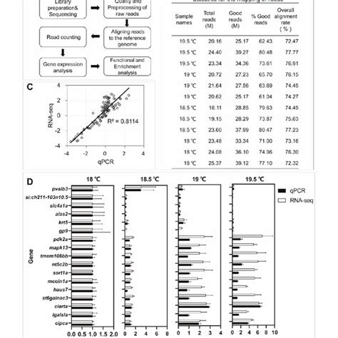 The Workflow Of RNAseq Data Analysis A Main Steps Of RNAseq Data Download Scientific