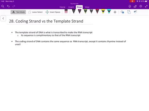 SOLVED Explain The Difference Between The Coding Strand And The Numerade