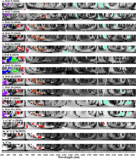 Classification Scalograms Derived With Wavelet Coefficients Of The
