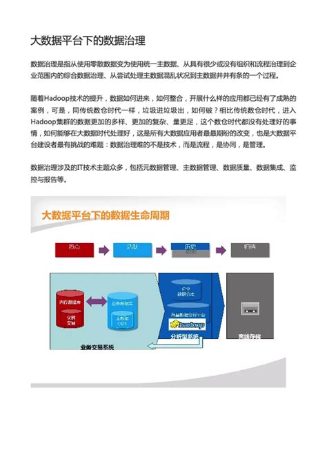 大数据平台下的数据治理 金融文库