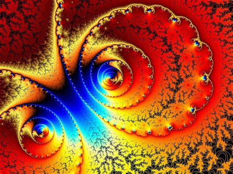 21 Best Fibonacci Images On Pinterest Fibonacci Spiral Fractals And
