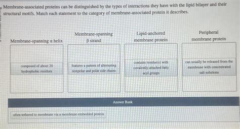 Solved Membrane Associated Proteins Can Be Distinguished By Chegg