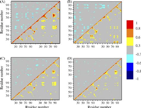Dynamical Cross Correlation Maps Dccms Correlations Positive Download Scientific Diagram