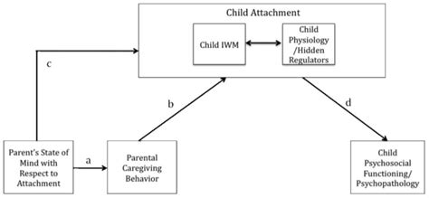Contributions Of Attachment Theory And Research A Framework For Future