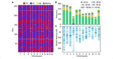Resequencing Ril Population And Genetic Linkage Map Construction A