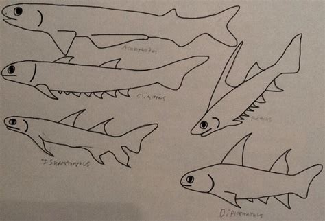 Acanthodii By Alexornisantecedens On Deviantart