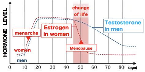 Menopause Age And Sex Hormones At Andrew Gillan Blog
