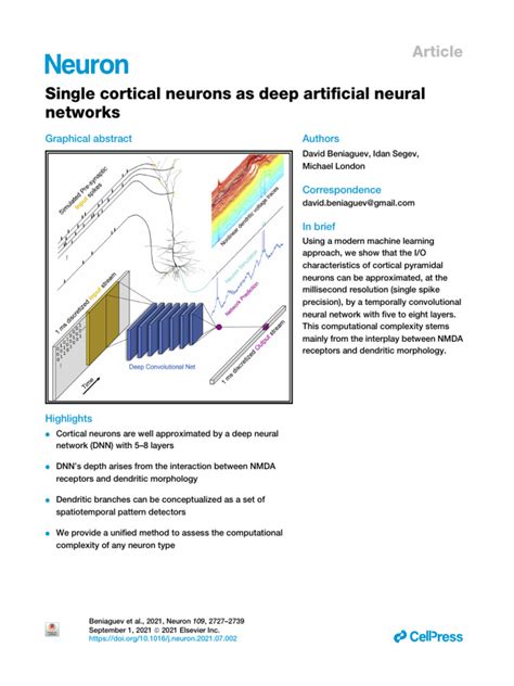 Single Cortical Neurons As Deep Artificial Neural Networks Pdf Deep