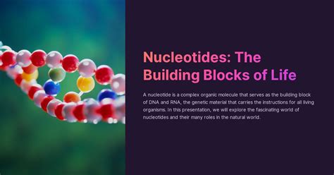 Nucleotides